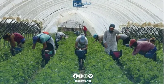 Minister of Employment in Akhannouch’s Government Reveals Latest ...