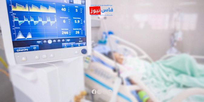 Rising Cases of Scorpion and Snake Bites in Morocco Raise Health ...