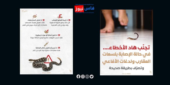 Ministry of Health Launches National Campaign to Raise Awareness on the ...